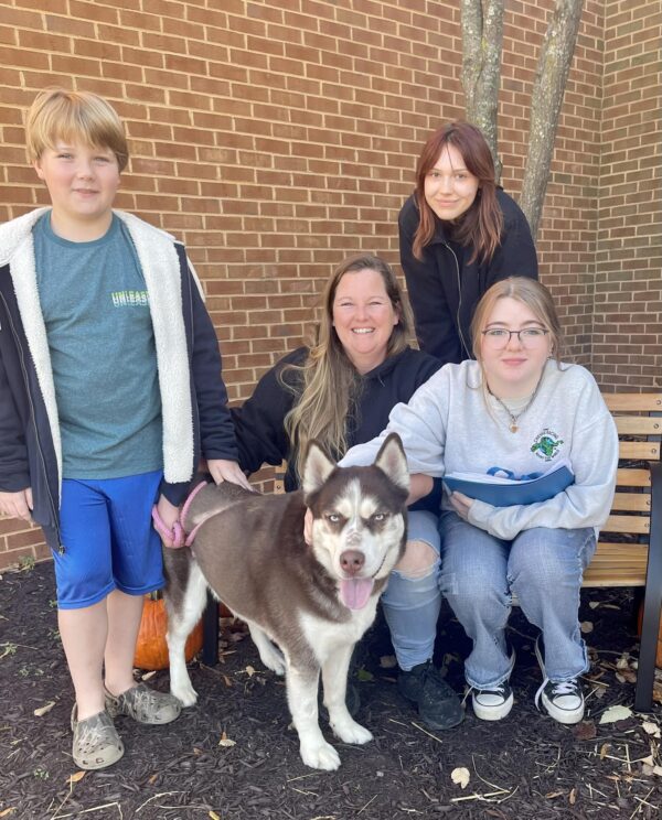 Adoptable Animals - Friends of Anne Arundel County Animals, Inc.